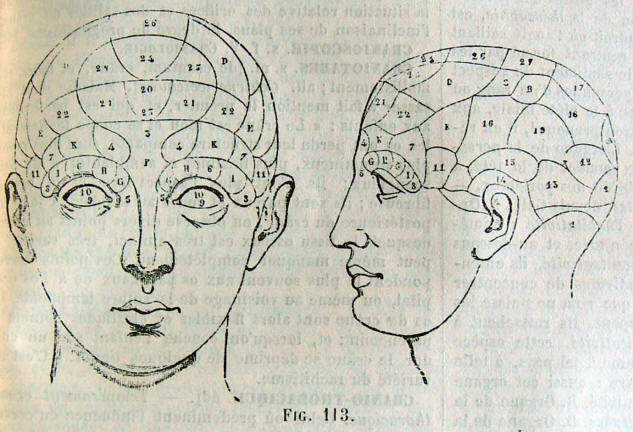 Storia della Frenologia Craniologia, history of phrenology, Histoire de ...
